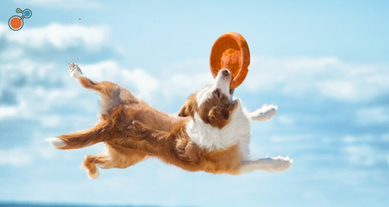 What is RMIS software? 4 Things to Know About RMIS Technology · Riskonnect